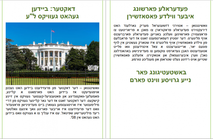 Anatomy of the Hasidic Yiddish newspaper - Frieda Vizel